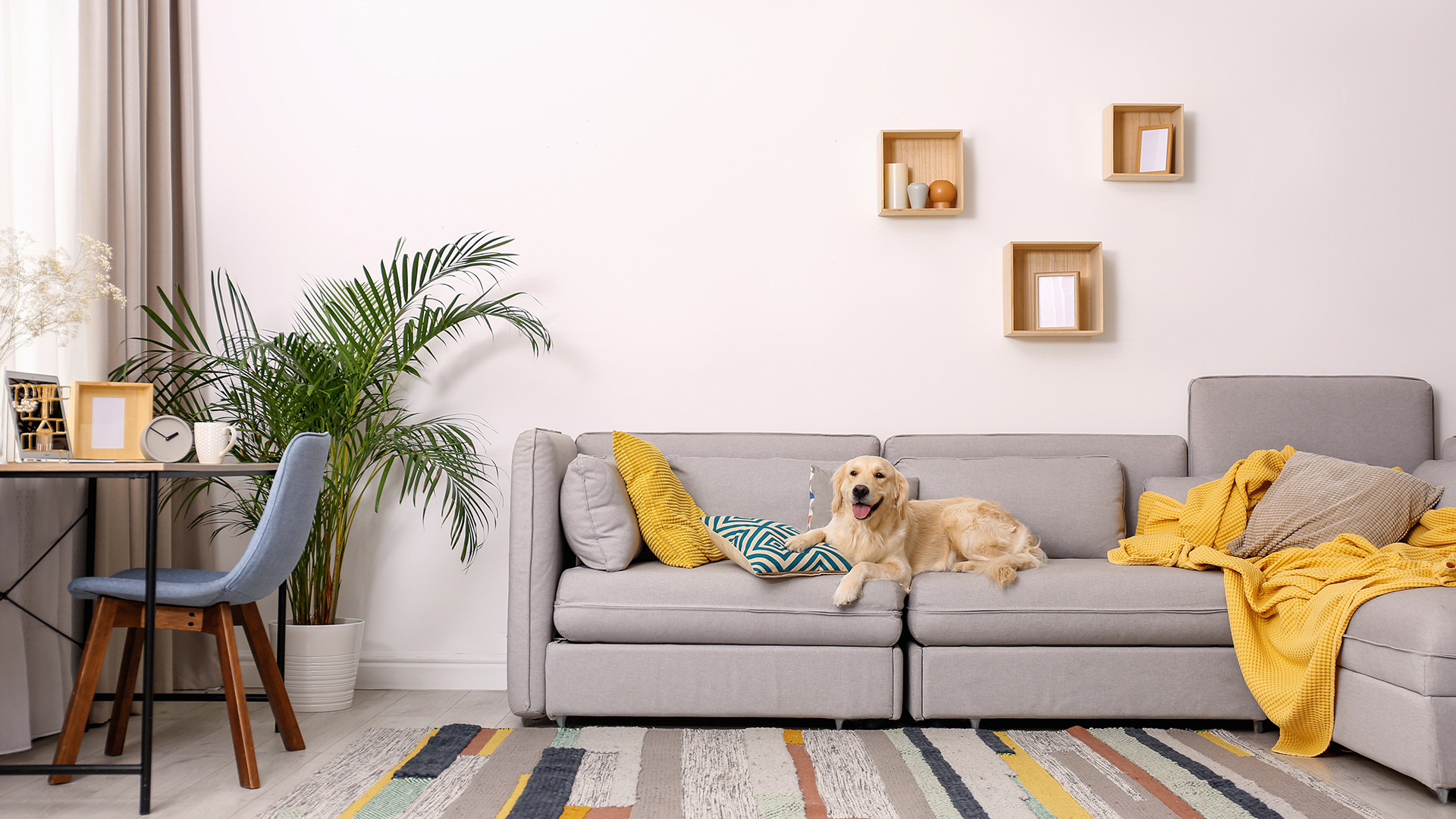 MCF-Home | Meadow Creek Flats